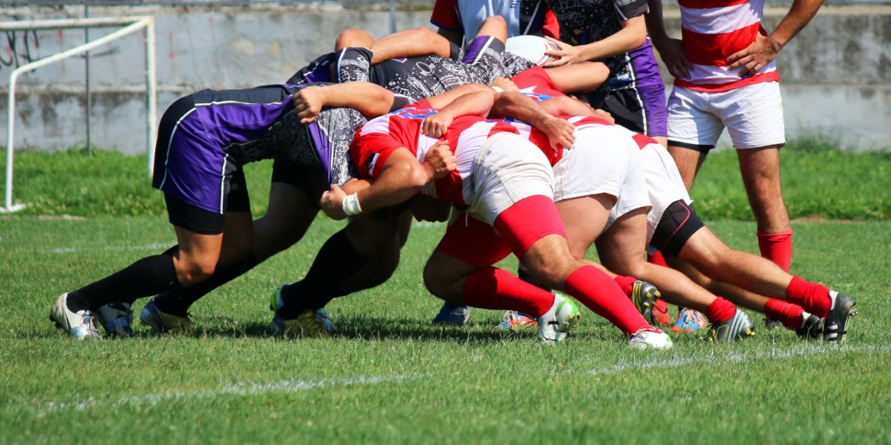 Creating High Performing Teams - Designated PA